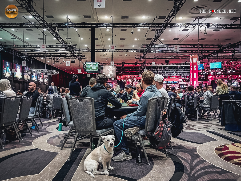 WSOP 2023: Tag 3 endet auf der Bubble | PokerFirma